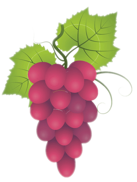 Buy Malbec red wine